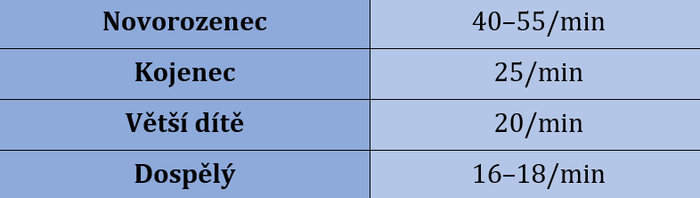 Dech :: Fyziologické funkce